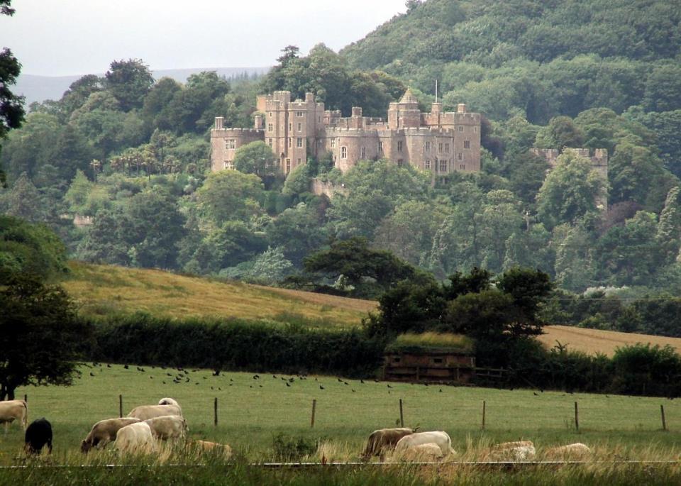 Arteeblog: Dunster Castle - Você já ouviu falar dele?
