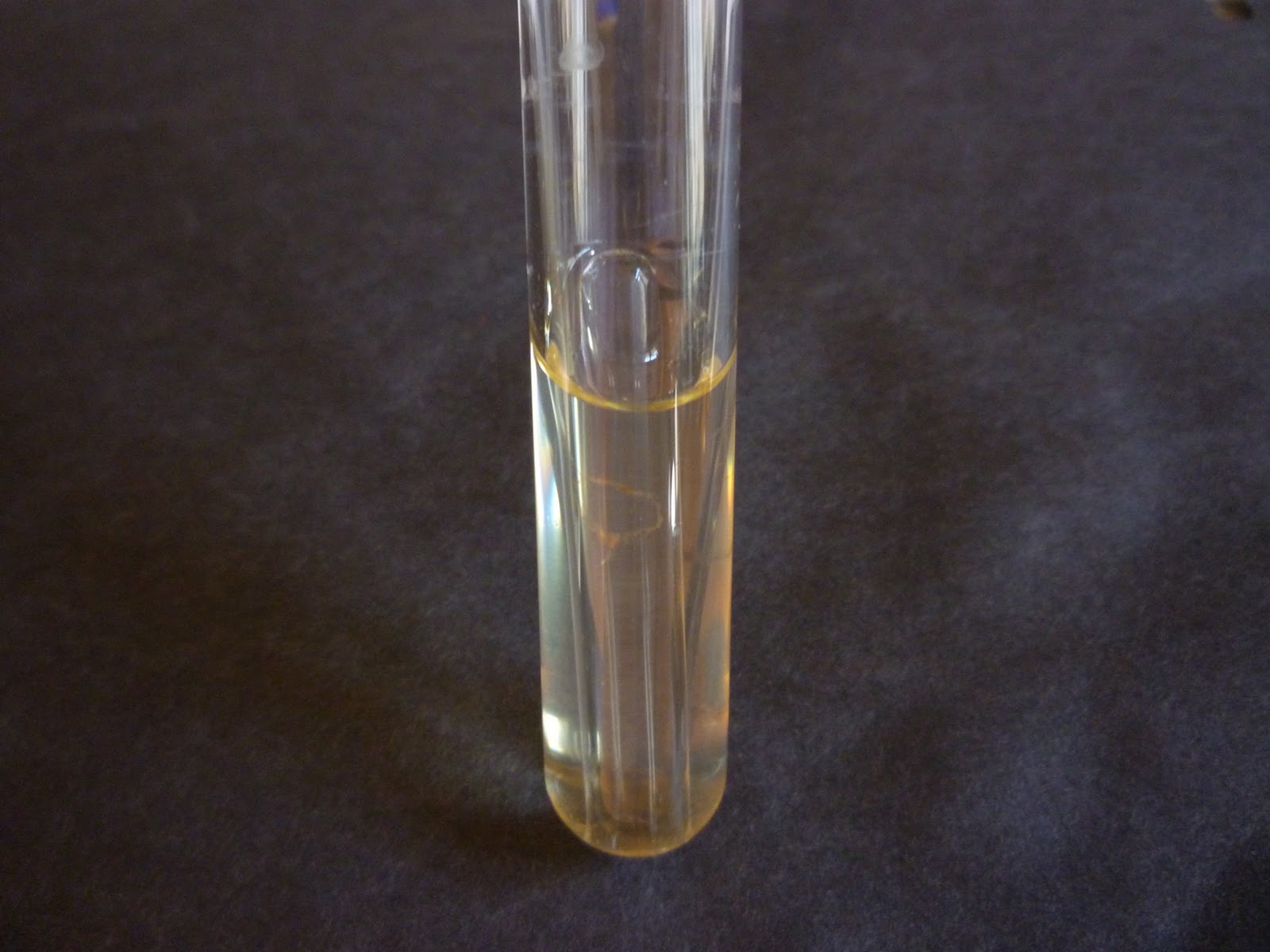 Medical Microbiology: November 8-10