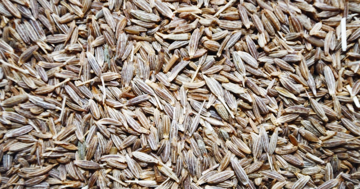 History of food: 5 interesting facts about Cumin