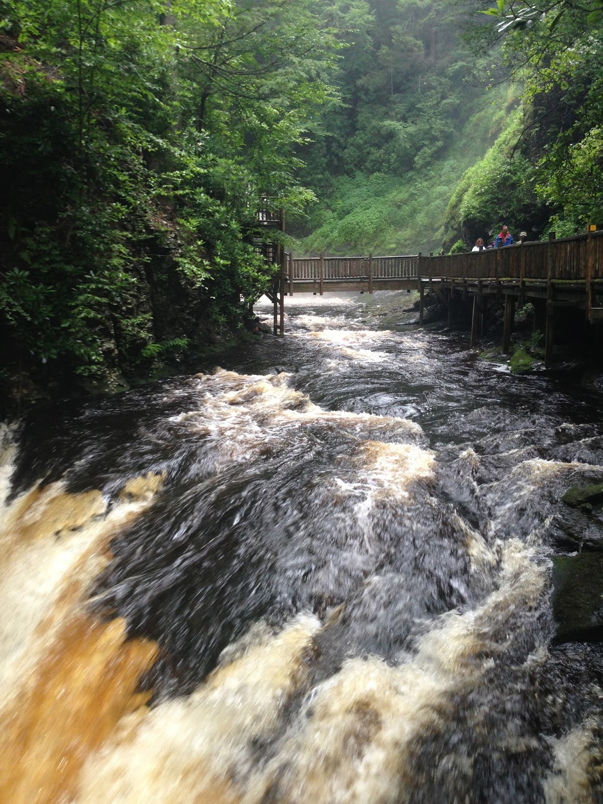 The New York Escapist: Bushkill Falls: Waterfall hiking less than 2 ...