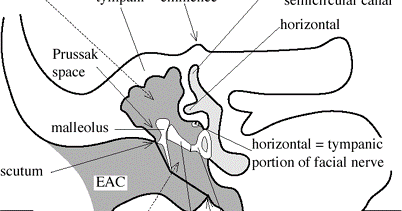 NIME - Dedicated Medical PG Institute: Prussak space | Crack PGIMER NOV ...