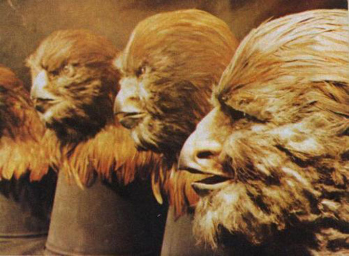 Dinner With Max Jenke: Manimal: The Movie