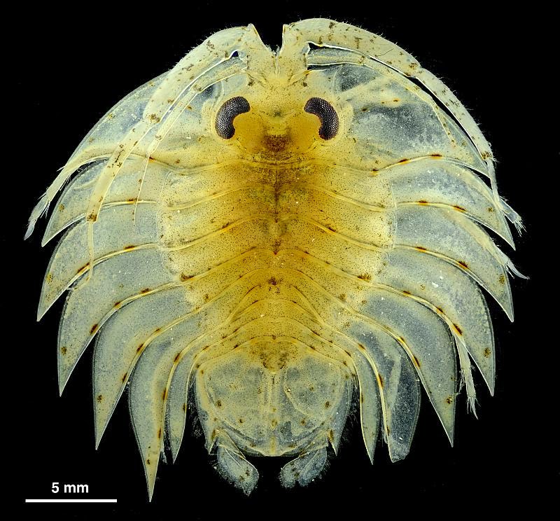 NeuroDojo: March 2014