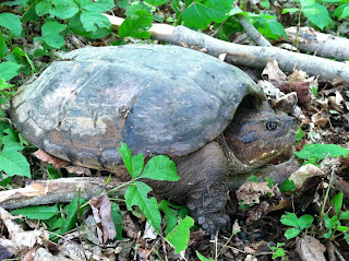 A Couple in the Kitchen: Connecticut Wine Trail Day One