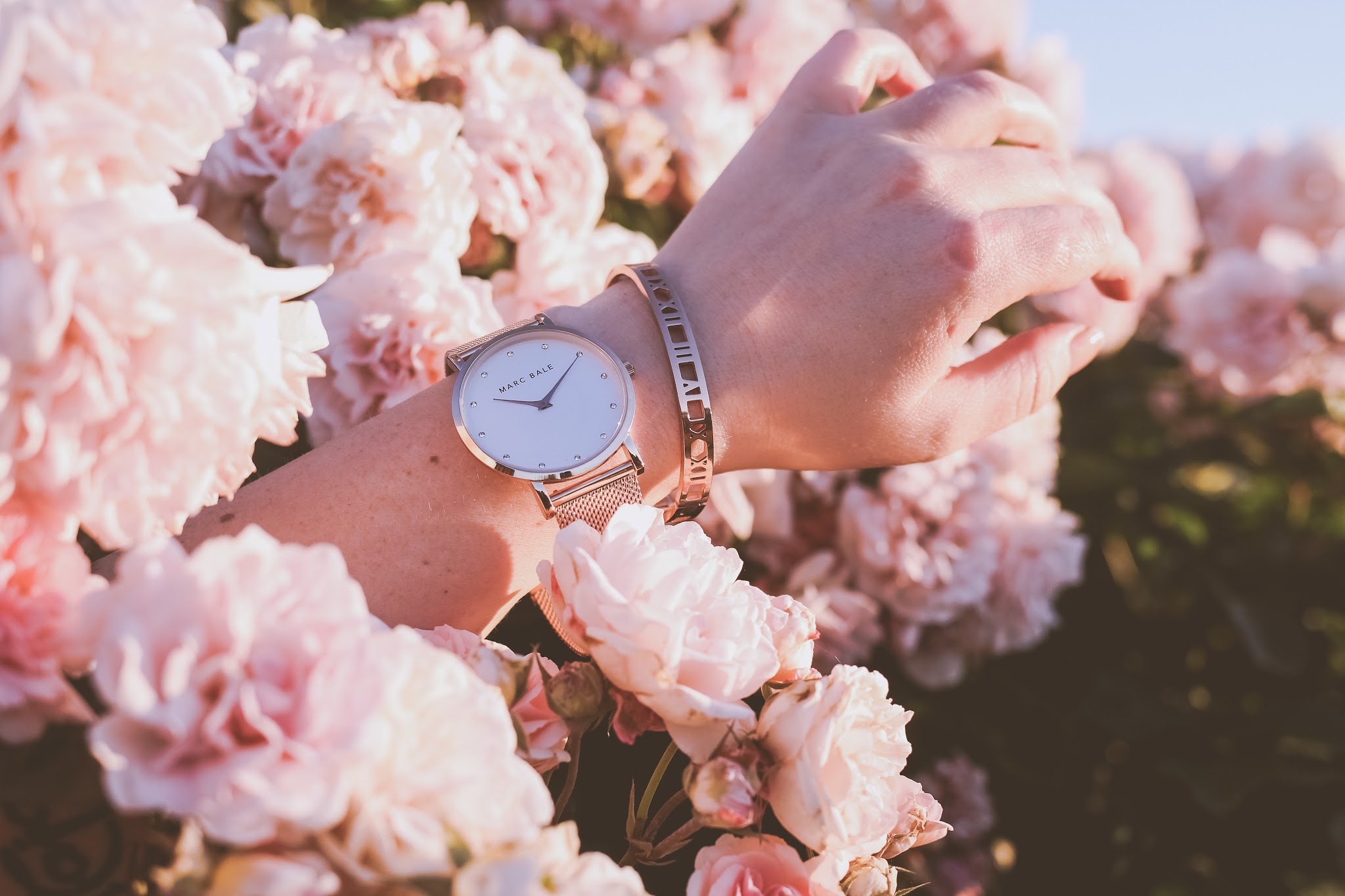 Roses and Gold - Finding Femme