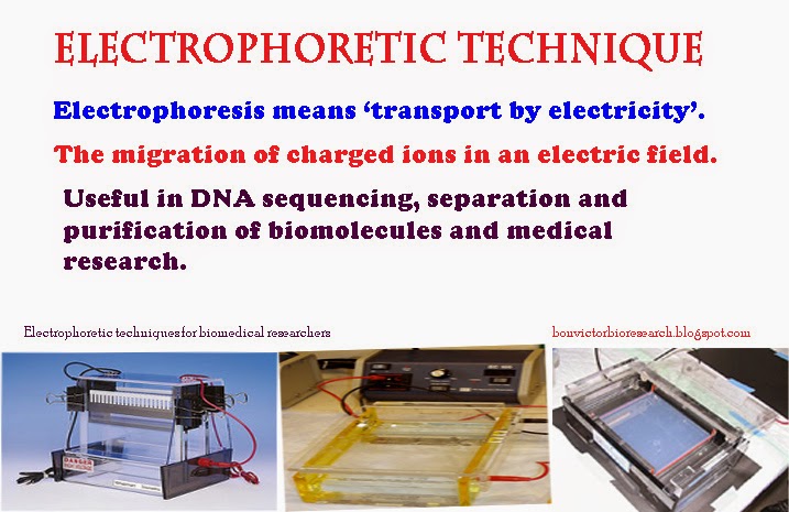 bonvictor bioresearch: Electrophoretic techniques for Bio-medical ...