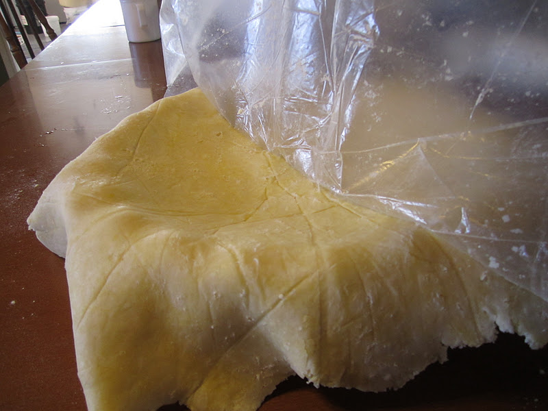 Cariboo Gals: Homemade Lemon Meringue Pie ~ from scratch!