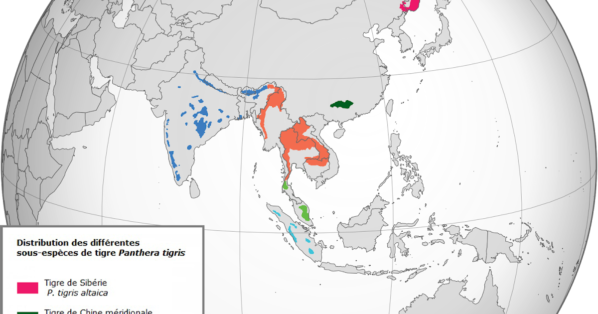 The range of every existing tiger's subspecies