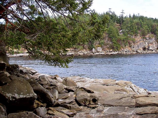 Everything Nanaimo: DODD NARROWS