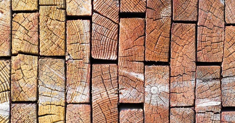 BIOSTEEL: Scientists Have Developed a Way to Make Wood as Strong as Steel