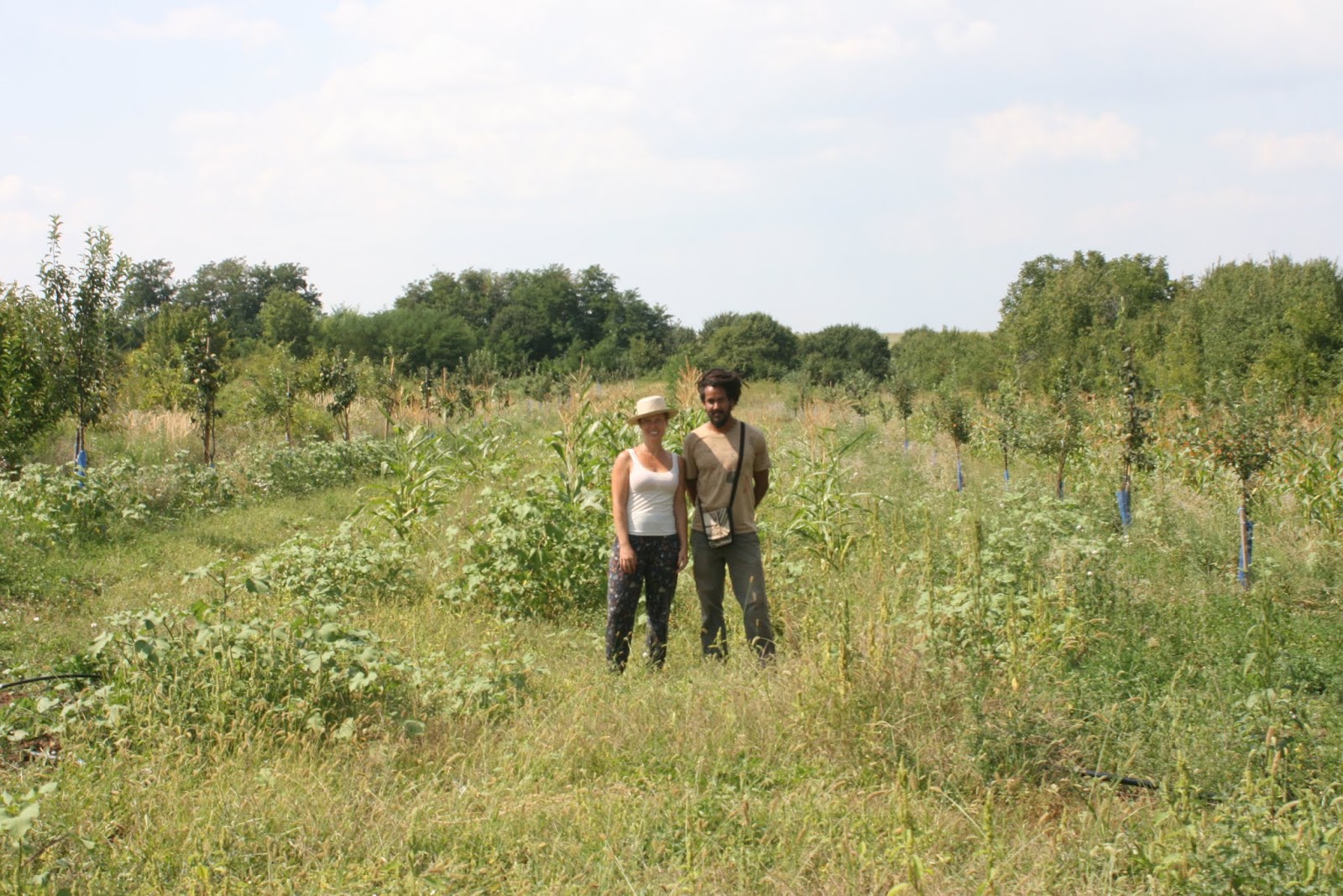 Balkan Ecology Project : Regenerative Landscape Design - 5 ha ...