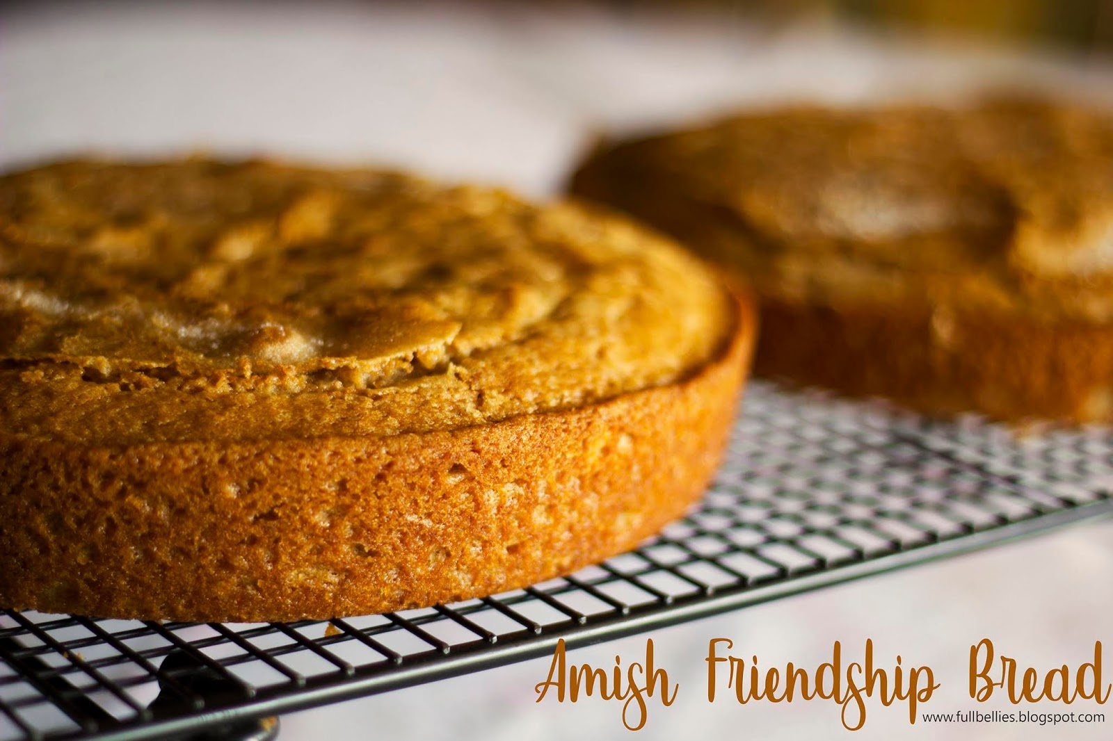 Full Bellies, Happy Kids: Amish Friendship Bread