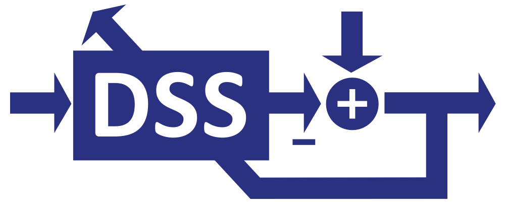 Ct Dss Logo