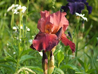 Nature Within - Cherish The Moment: The Earth Has Renewed Itself With ...