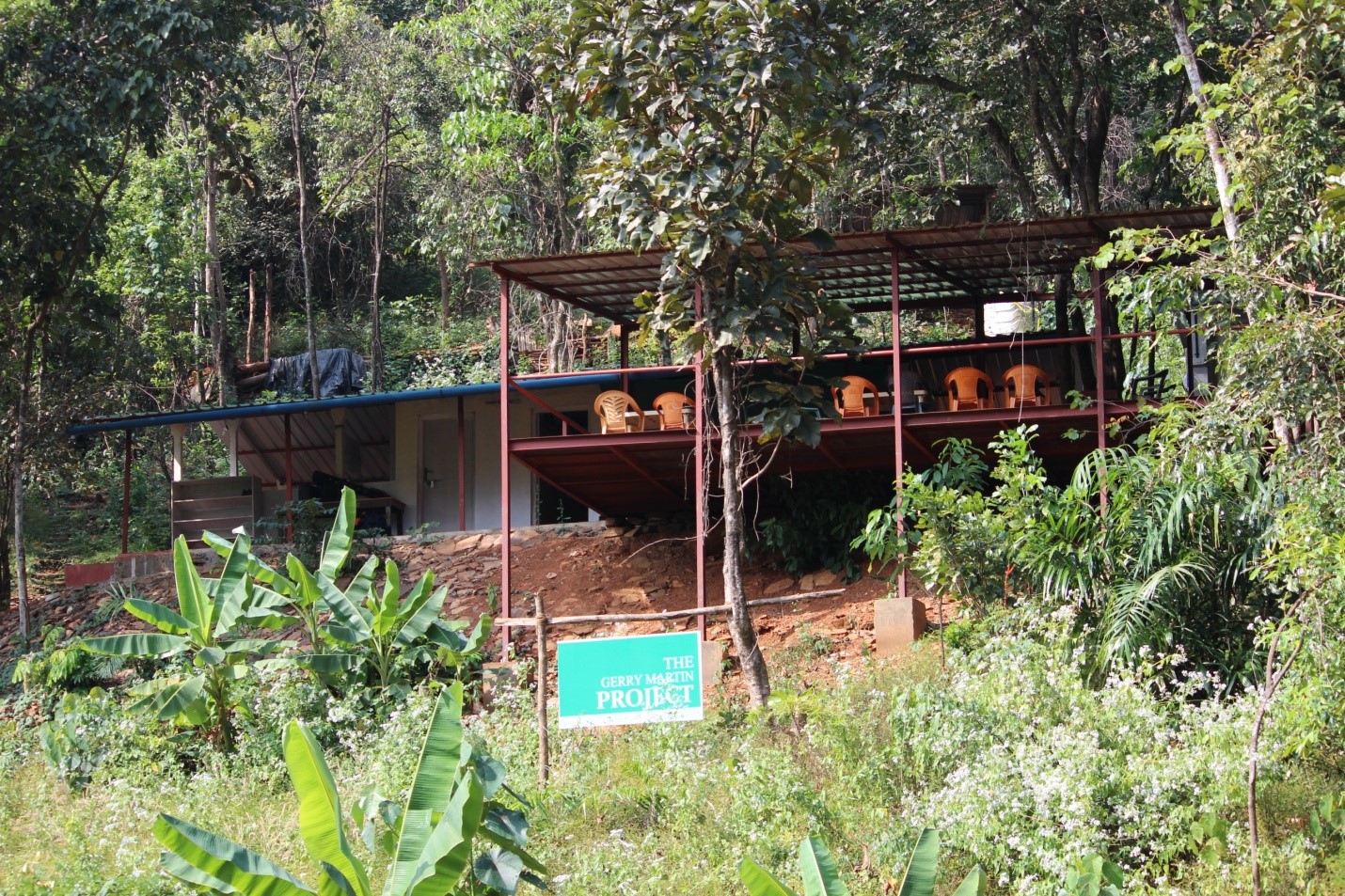 Live Experience : Another Expedition in the Gerry Martin Wildlife ...