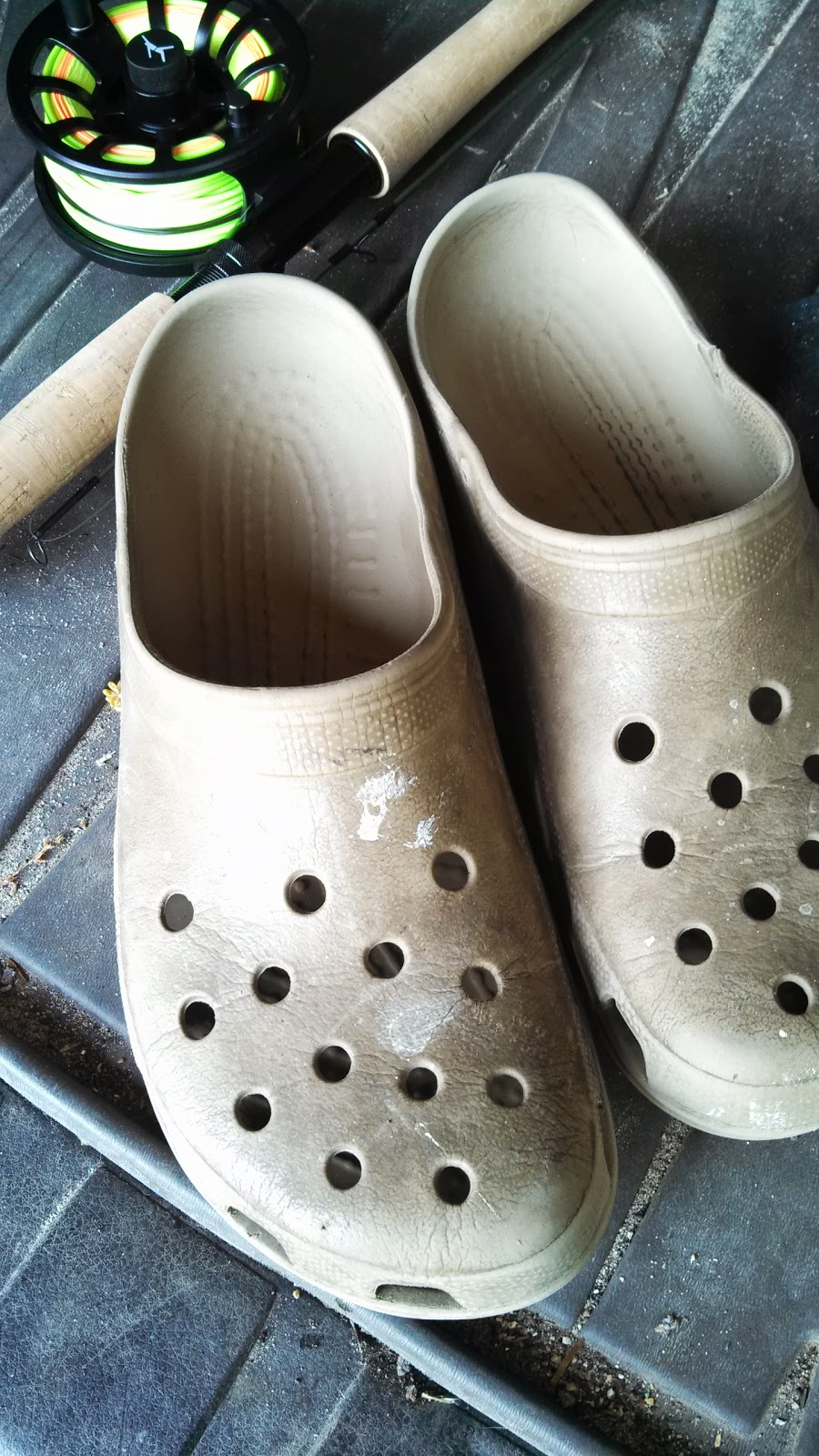 The Hairy Hippy Mountain Man's Guide to Living a DIY Life: What's Your ...