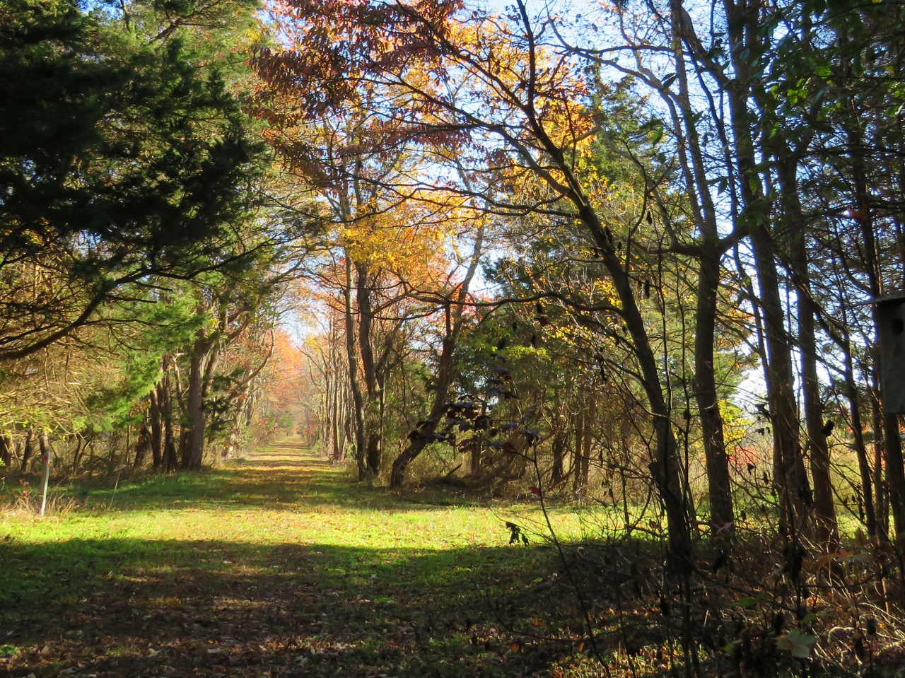 Gone Hikin': Prime Hook National Wildlife Refuge, DE