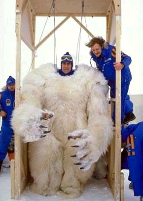Andy's World: Des Webb, Actor, Empire Strikes Back, The Wampa