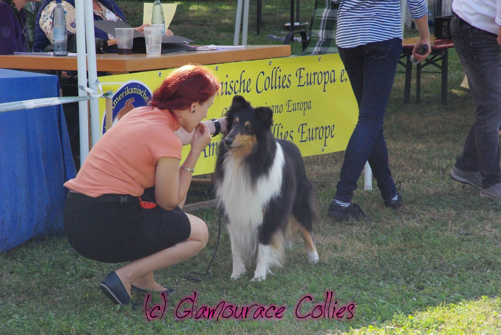 Glamourace Collies: Judy wins Collie specialty in Malsch
