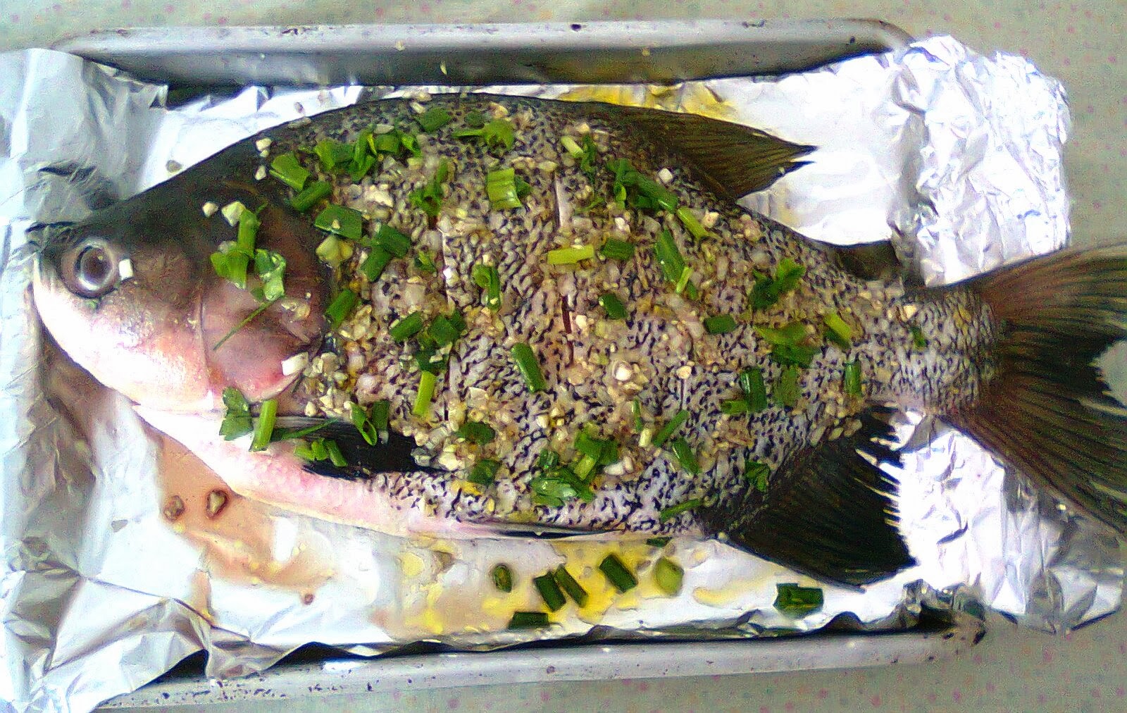 Peixe Polaca Do Alasca é Remoso - EDUCA