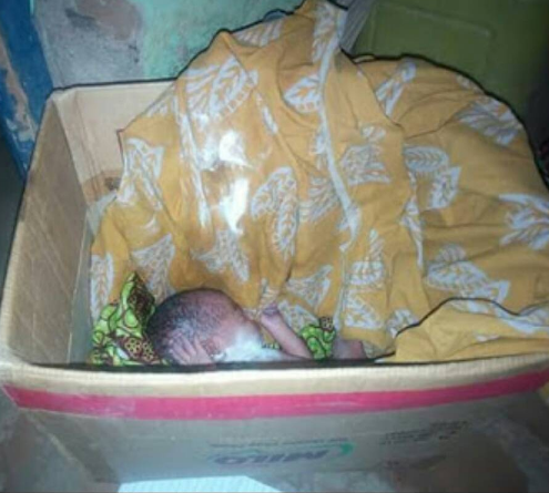 Newborn Baby Dumped Inside A Carton Rescued In Benue - OGA BOSS