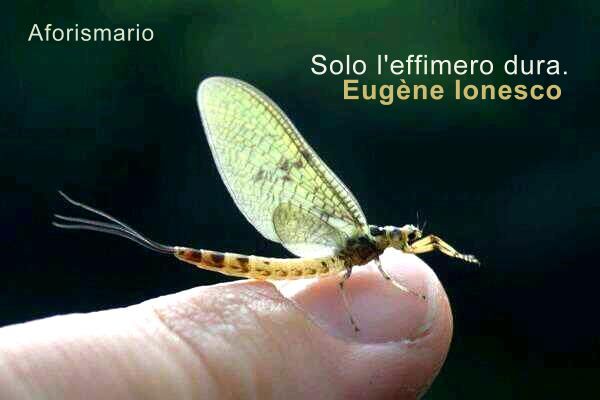 Aforismi, frasi e citazioni sull'Effimero | Aforismario