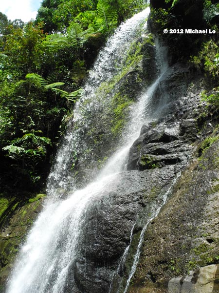 The rainforests of Borneo & Southeast Asia: Waterfalls & cascades ...