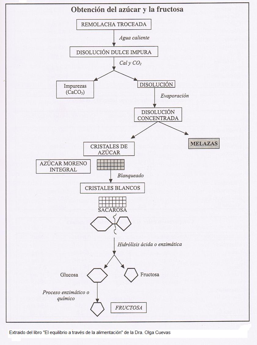 Azúcares obtenidos por procesos químicos ~ MEDITACIONES CULINARIAS