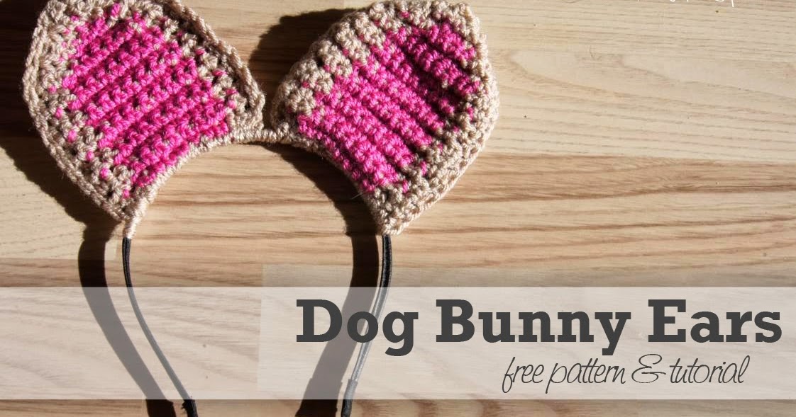 The Drizzle of Honey: Dog Bunny Ears