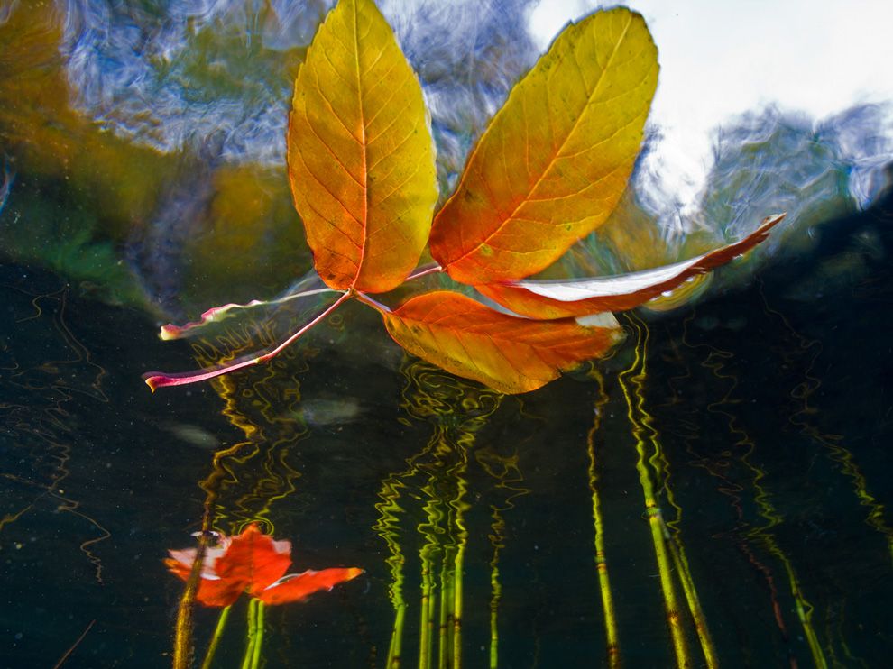 Beautiful World : Today's Collection of Beautiful, Amazing and Funny ...