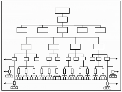 Introducion a la Administracion: Organización