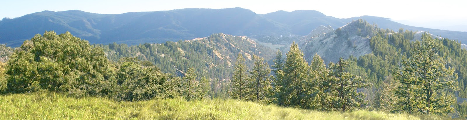 The Art of Terry Hamel