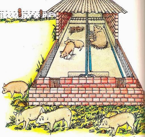 CONSTRUÇÃO DE UMA POCILGA