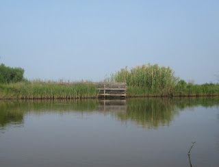 6 Generations: A Morning Paddle and a Lesson in Marsh Preservation