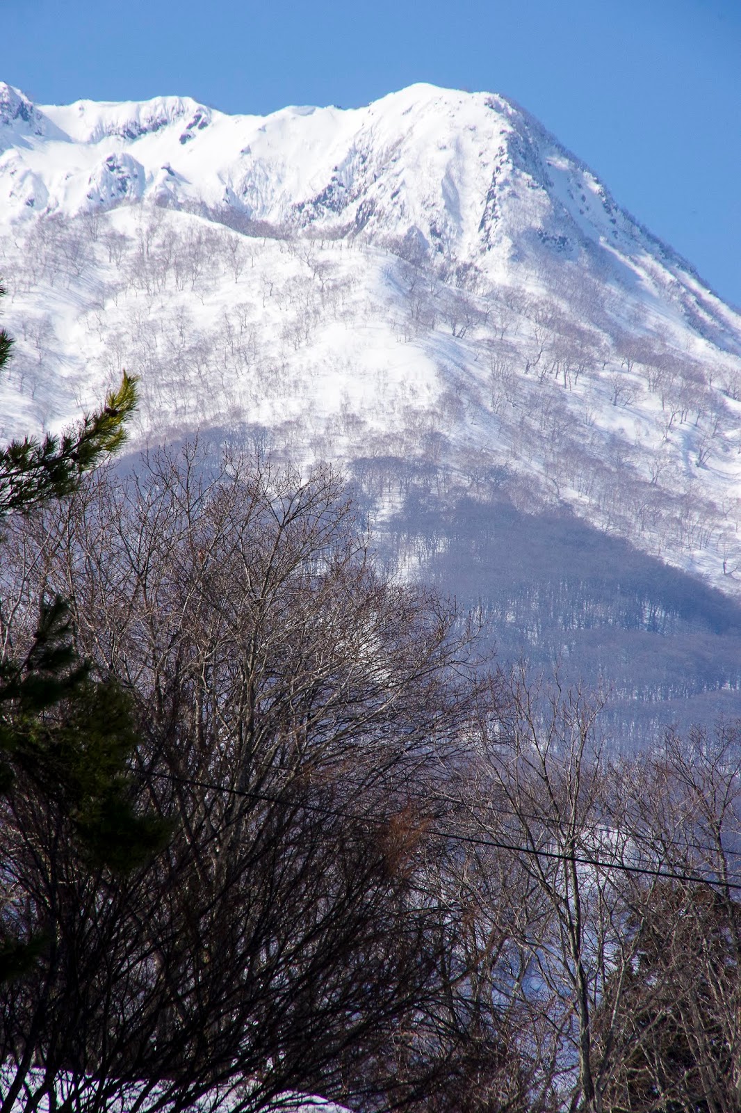 ChiangMai Daily Photo With Mary: Mt Myoko
