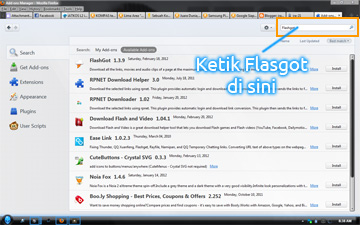 Download Video Youtube Menggunakan FlashGot | ira-21