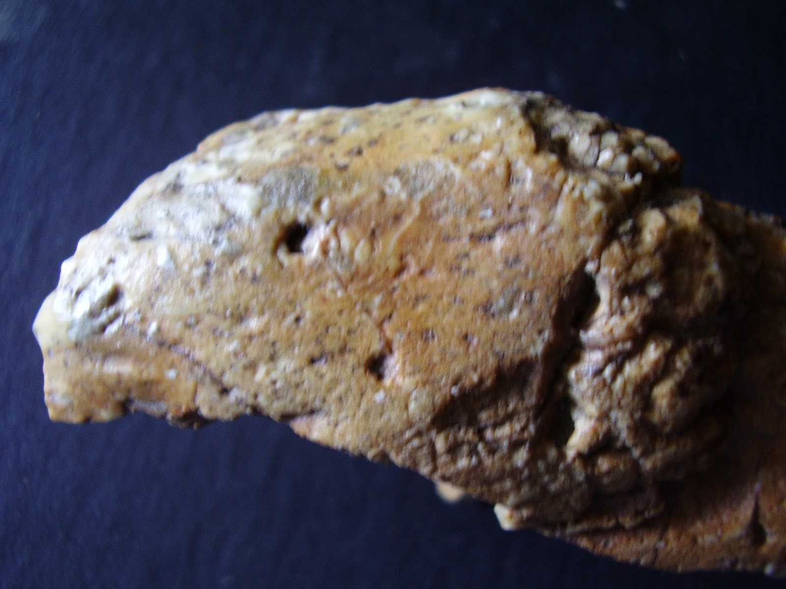 Archaeology of Portable Rock Art: Oregon burin flakes join flock of ...