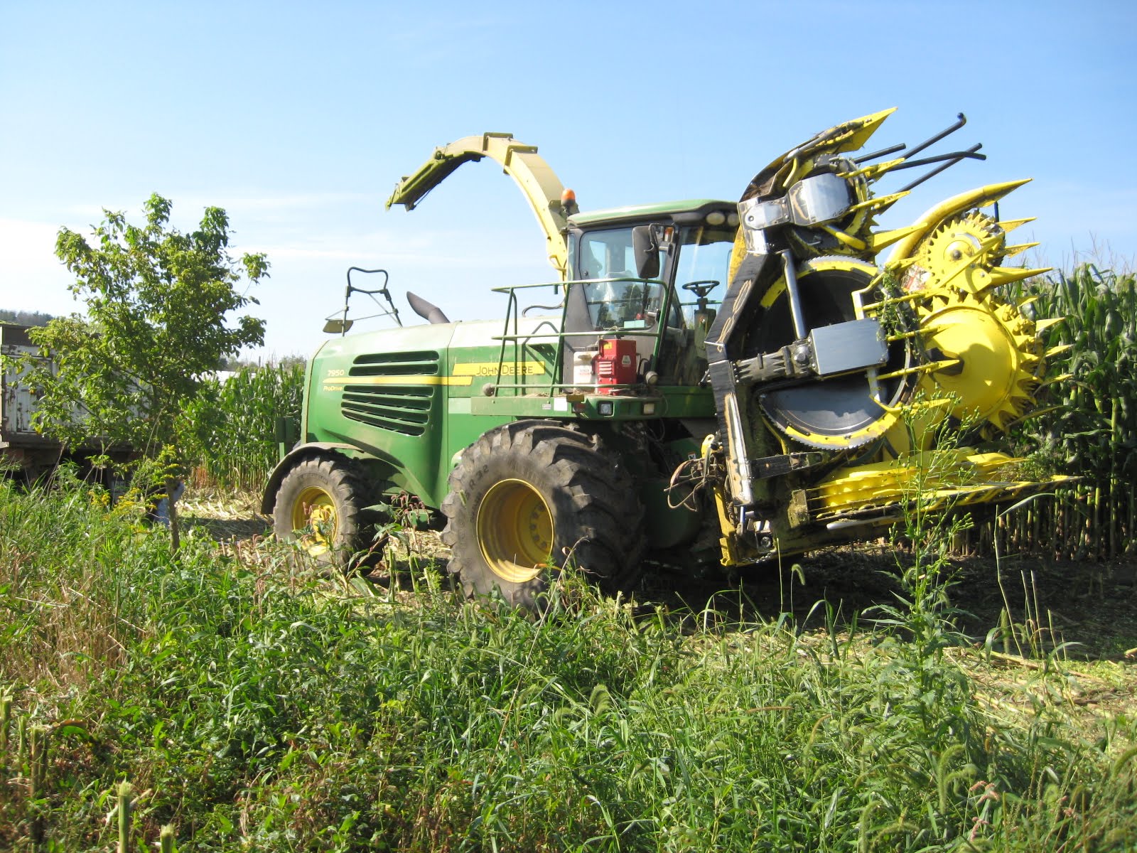 ☆Plumrun Creek☆: Harvesting Corn