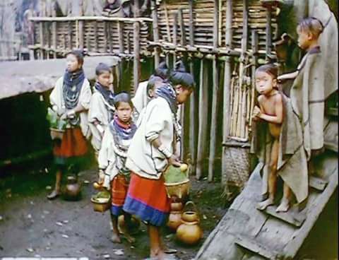 Let us save Tanii / Apatani Culture : Recent past of Apatani culture