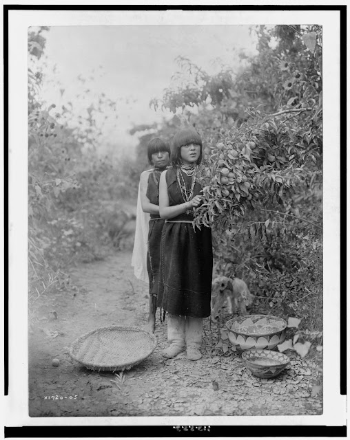 tuts and crash: hopi, tolowa, and tewa women photographed by edward curtis