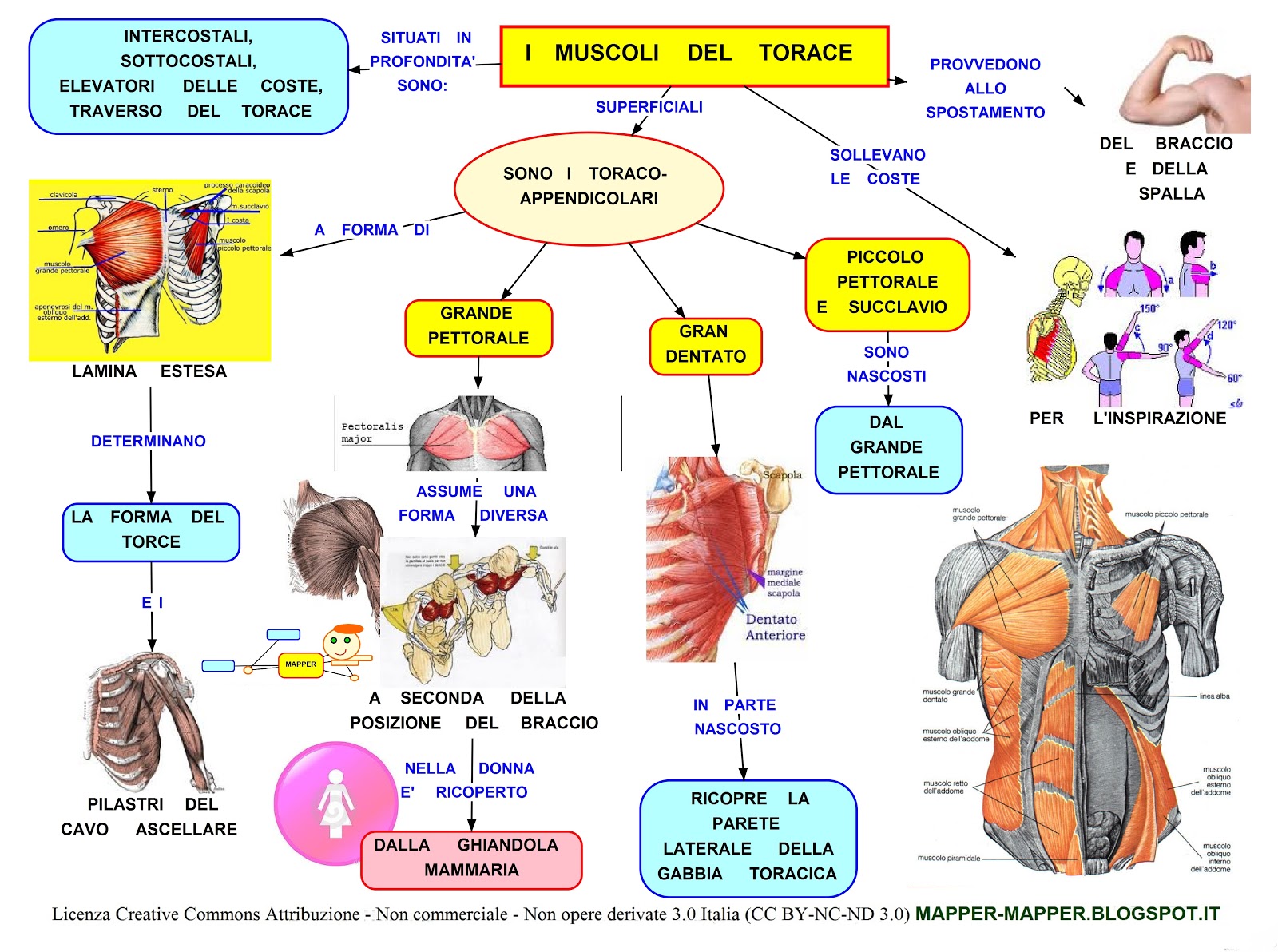 MAPPER 2: febbraio 2013