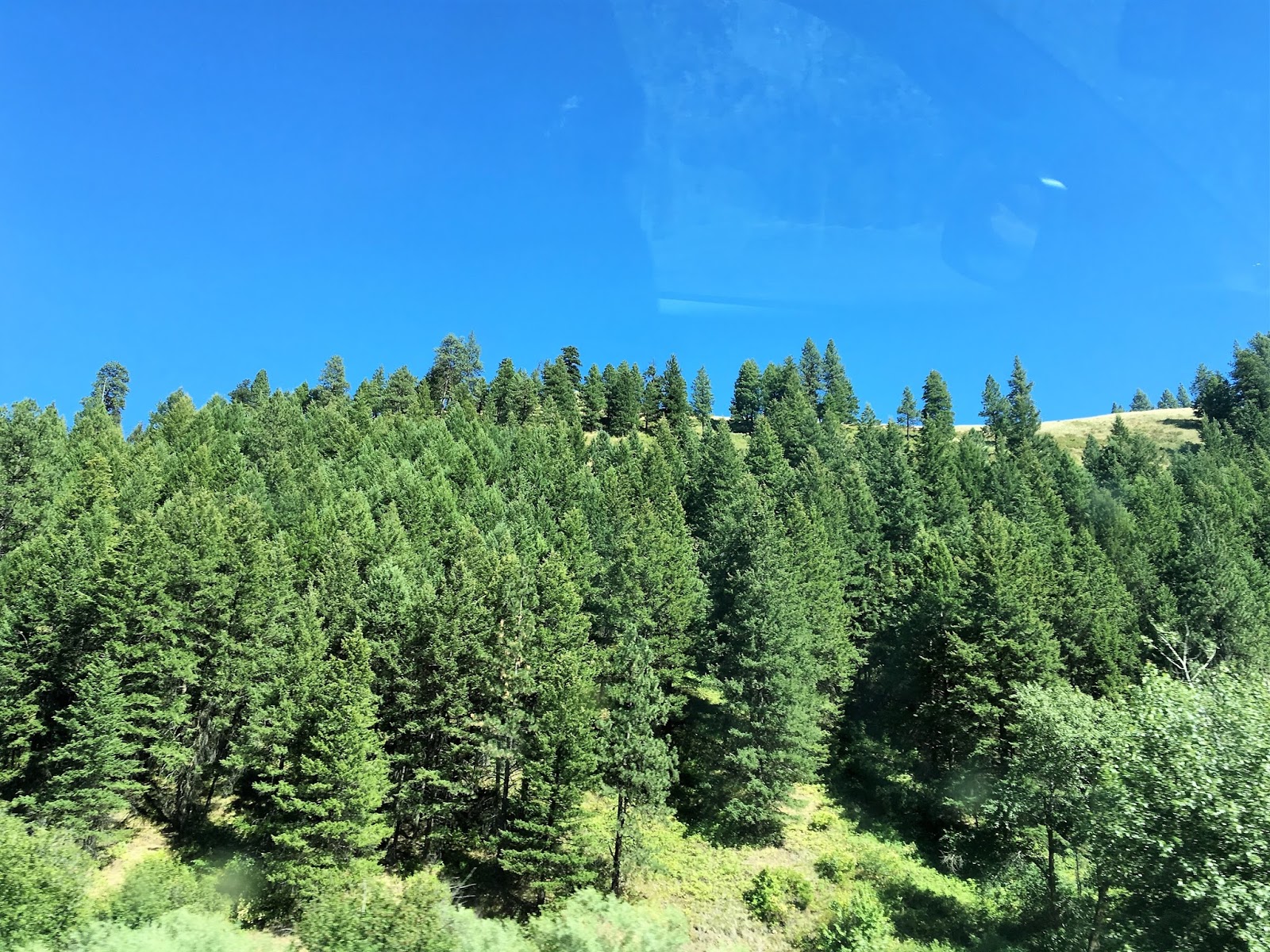 Rowan's Story: "God's Masterpiece"