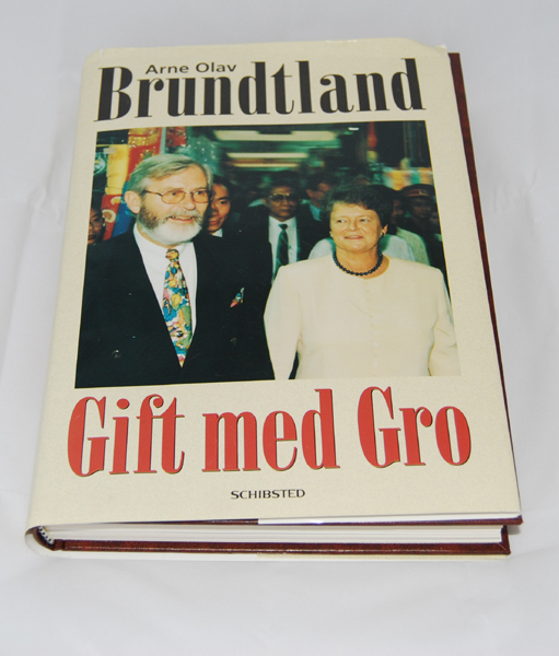 mettepips lille rede: Art Journal - metall