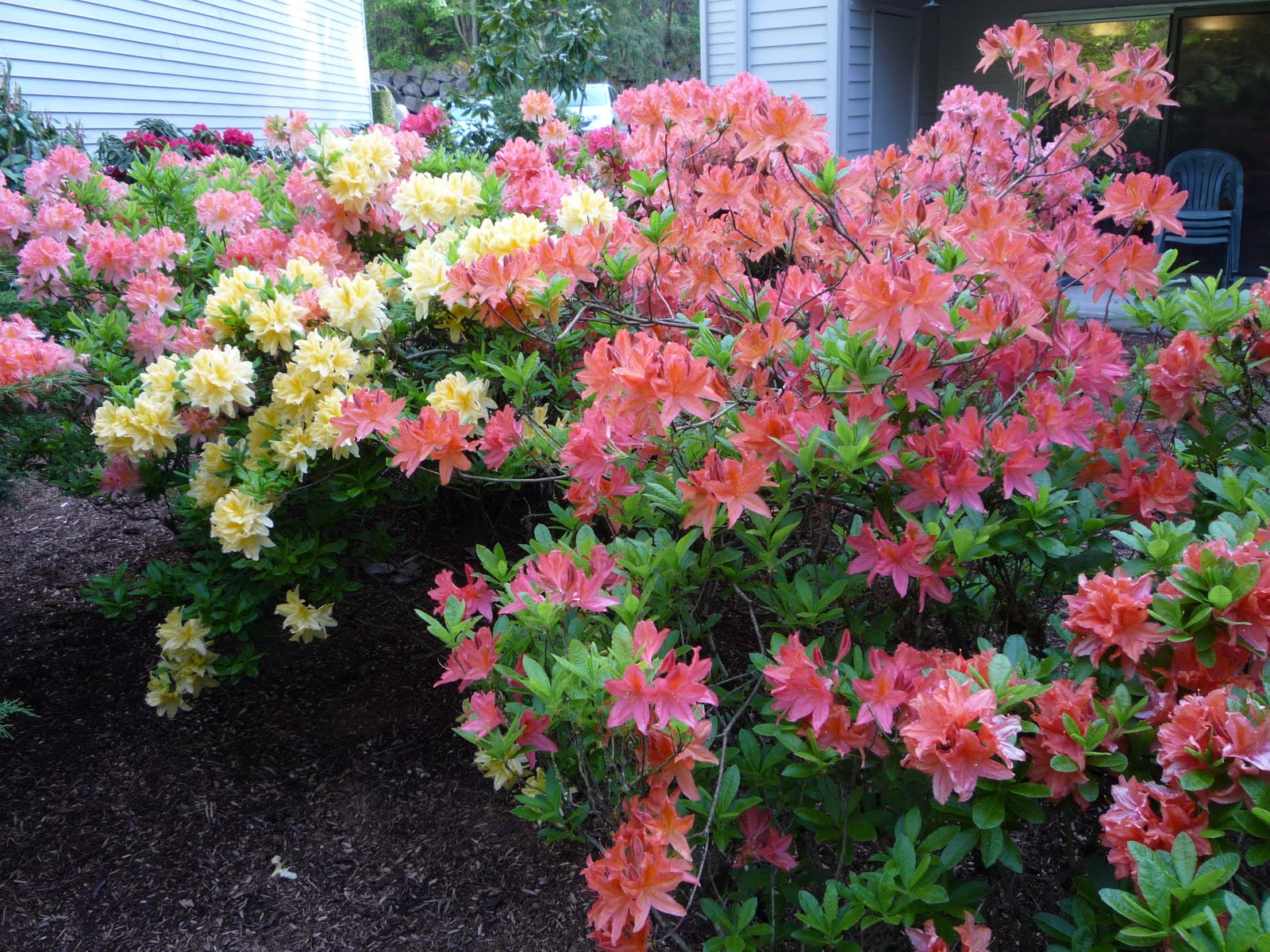 Just Northwest: Outdoor Tourism Blog featuring the Pacific Northwest ...