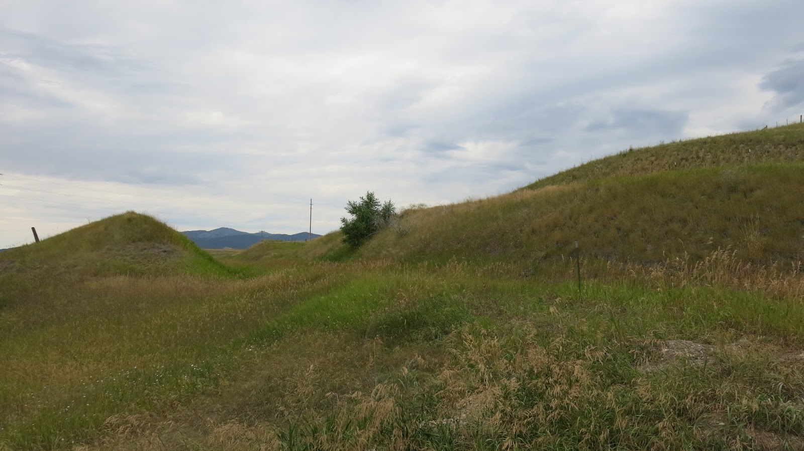 Geared Steam: Milwaukee Road Branch Line - Roy Montana 2015