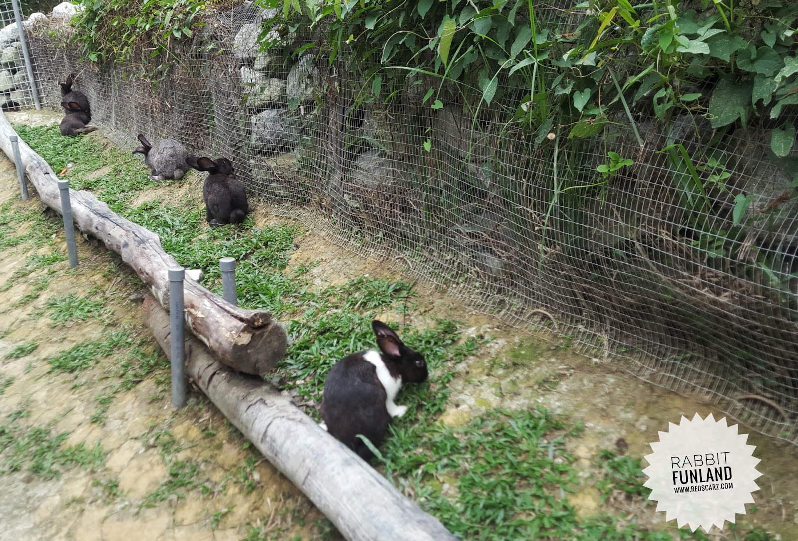 DAUS REDSCARZ: Rabbit Fun Land Broga berpindah ke Lenggeng, Negeri Sembilan
