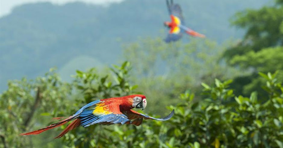 Conoce esplendor de Tabasco