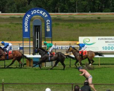 Funny Sports: Funny Horse Racing