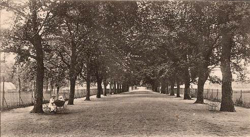 Relics of Beccles: Beccles in the 1870s