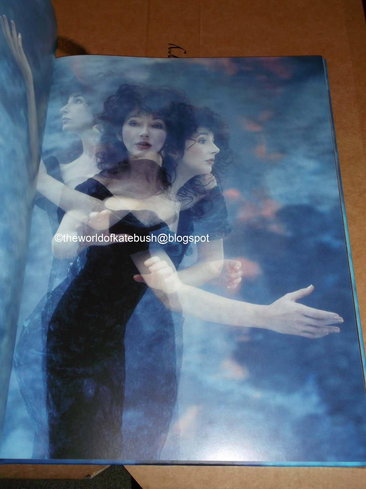 THE WORLD OF KATE BUSH: The Kate Inside: Collector Edition Book by ...
